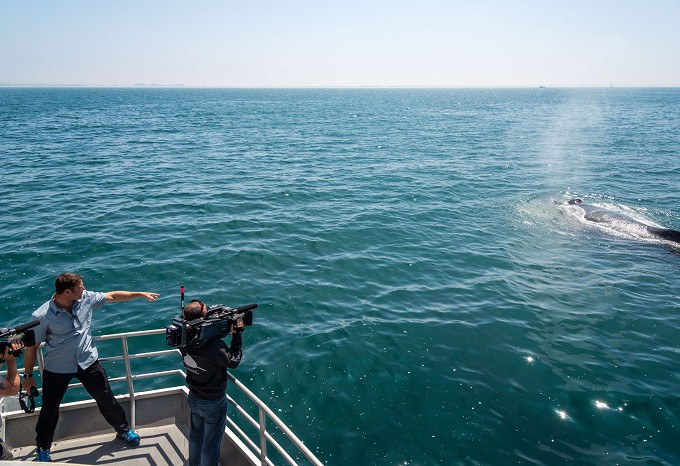 Realscreen » Archive » PBS, BBC find human angles in wildlife with “Big ... Realscreen » Archive » PBS, BBC find human angles in wildlife with “Big ...