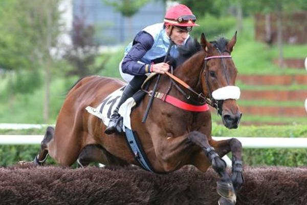 Realscreen » Archive » Prime Entertainment Group, Equida TV ink ...