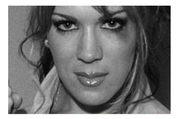 Realscreen » Archive » Vice to air first doc on female wrestling icon Chyna
