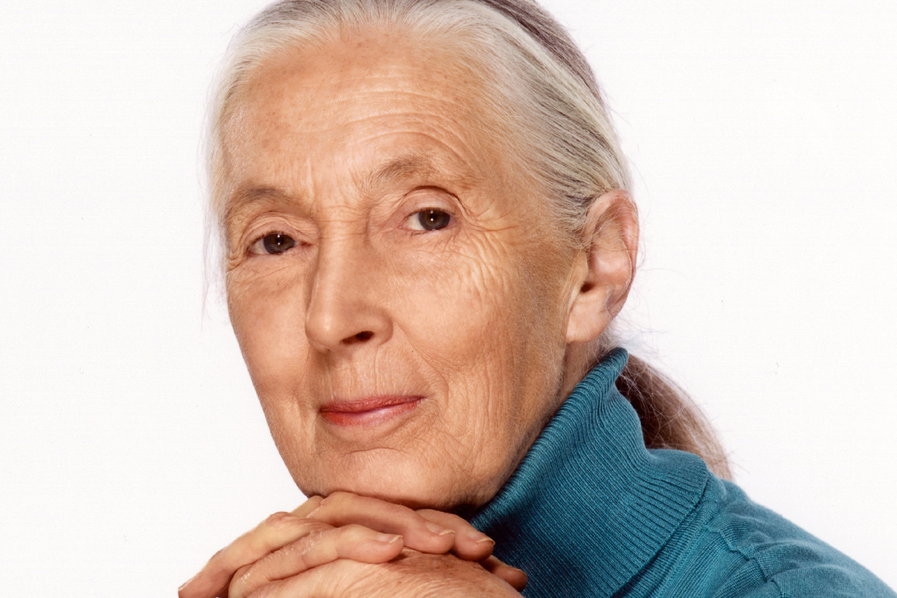 Realscreen » Archive » Realscreen to honor Jane Goodall with posthumous ...
