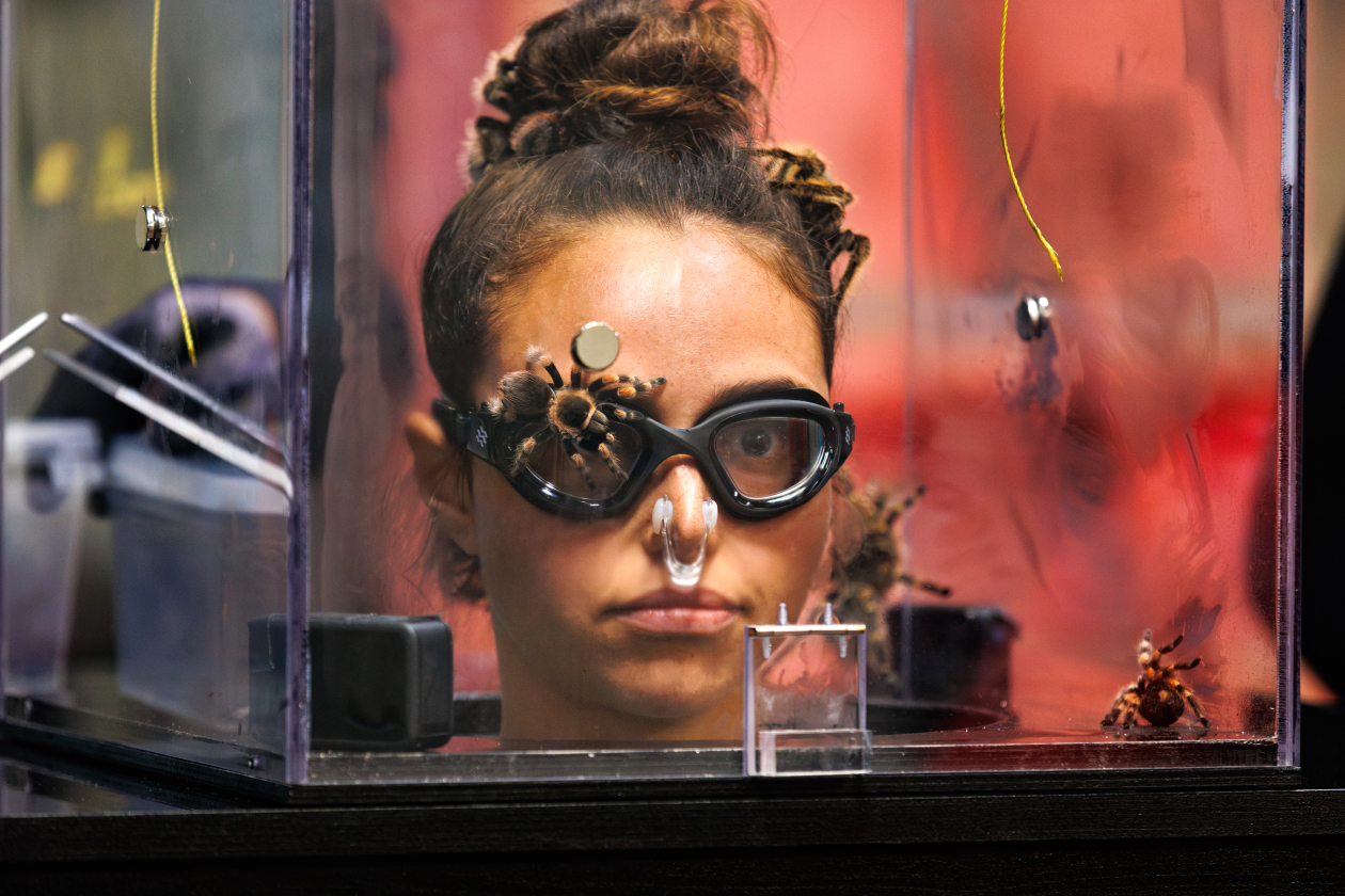 Realscreen » Archive » “Fear Factor” returns to Denmark via Metronome