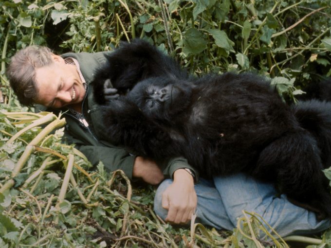 Realscreen » Archive » David Attenborough returns to Netflix with “A ...